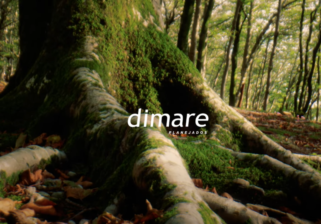 Raízes: a nova coleção da Dimare Planejados - Dimare | Móveis Planejados